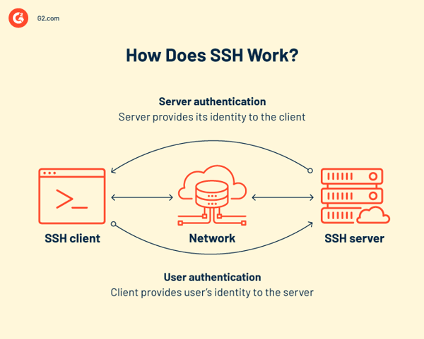What Is SSH? Key to Improving Remote Access Security
